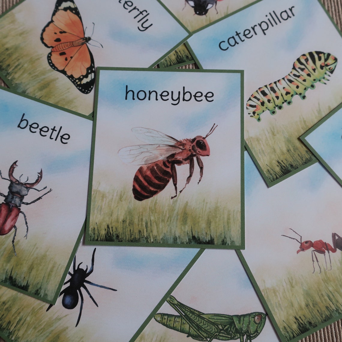 Insect Flashcards Mini. Watercolor Printable for Toddlers and Preschool ...