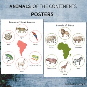 Animals of the Continents Posters and Sorting Activity. Montessori ...