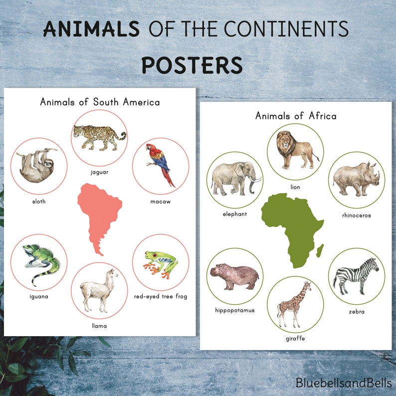 Animals of the Continents Posters and Sorting Activity. - Etsy