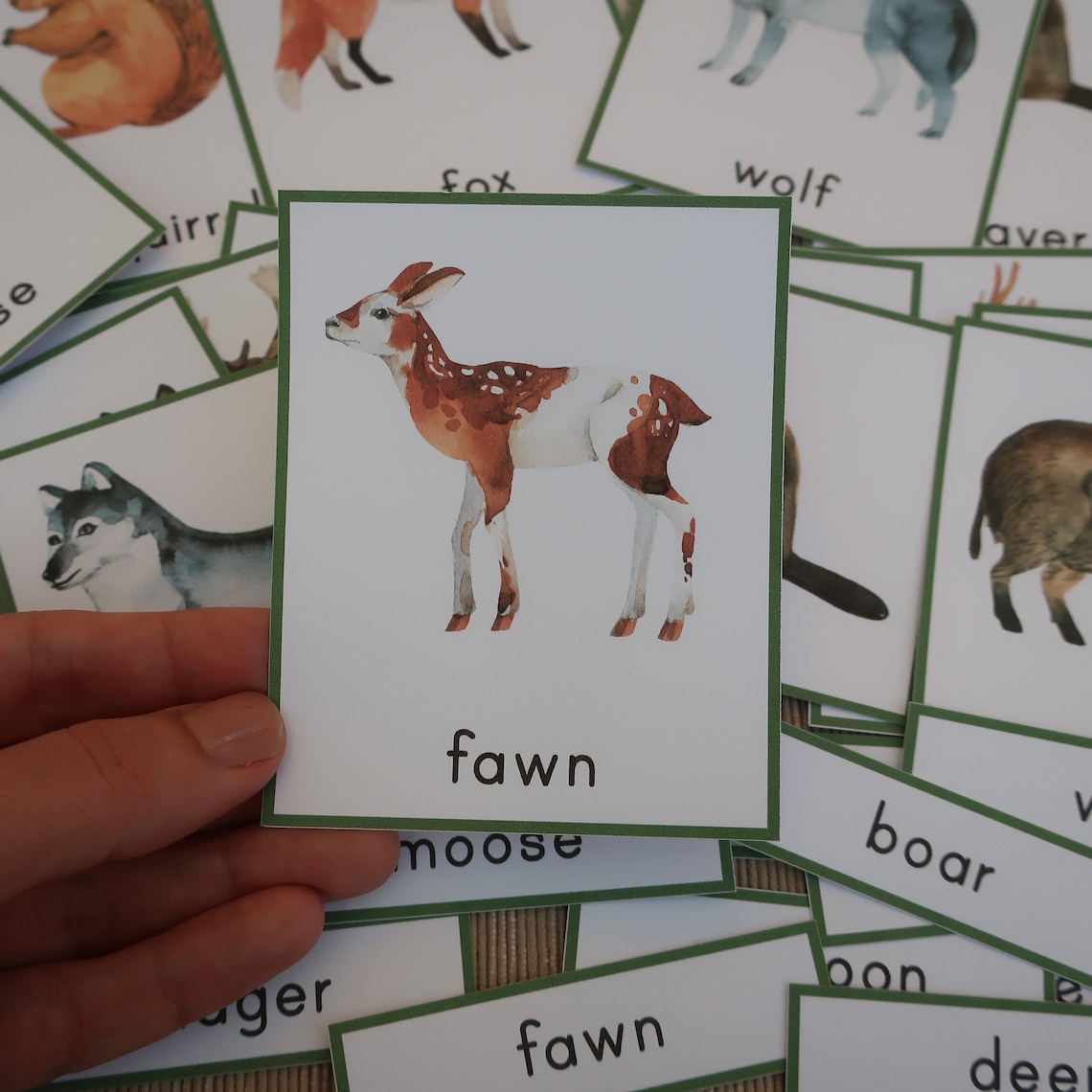 Woodland Animals Montessori 3 Part Cards. Preschool Vocabulary | Etsy