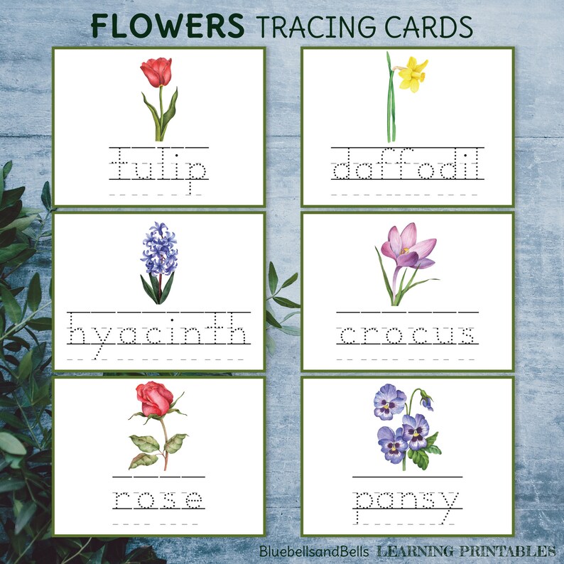 Flower Cards Tracing Words. Handwriting Practice for Preschool and ...