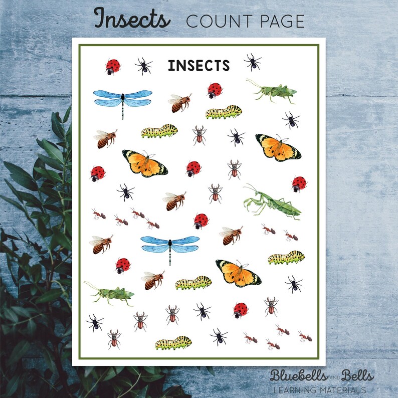 Insects Preschool Printable Graphing. Kindergarten Math Activity. - Etsy