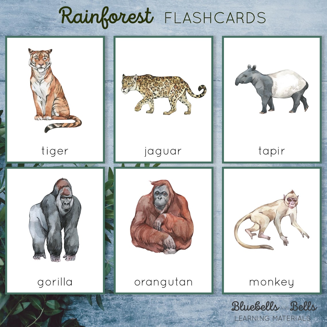 Rainforest Animal Flash Cards. Toddler Watercolor Cards. Preschool ...