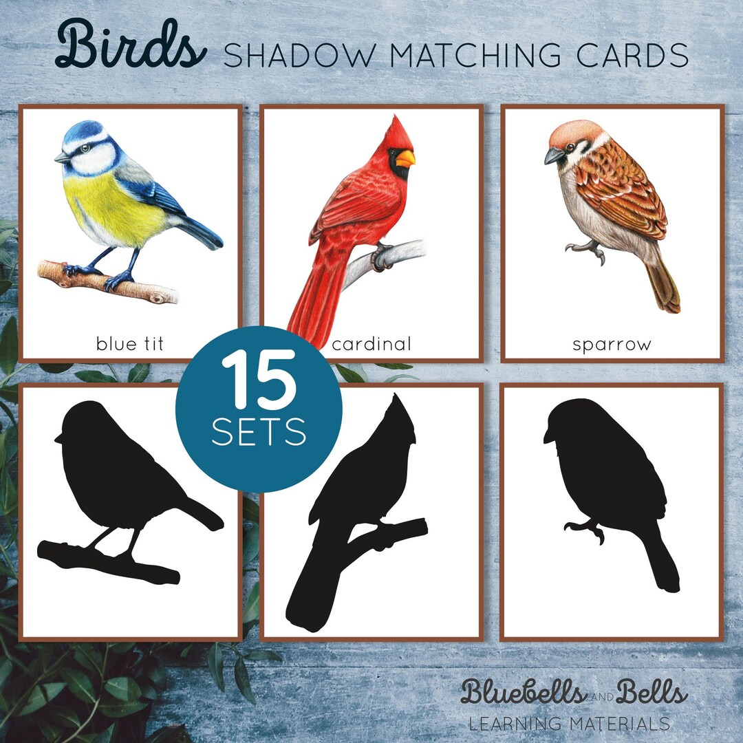 Bird Shadow Matching Flash Cards. Montessori Spring Printable. Toddler ...