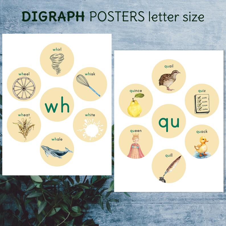 Digraph Posters. Phonics Printable Matching Activity. - Etsy