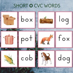 Montessori Printable CVC Word and Picture Matching Activity. Pink ...