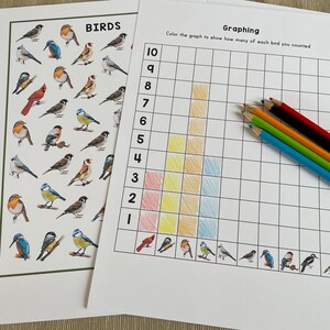 Birds Preschool Graphing. Spring Montessori Math Printable for ...