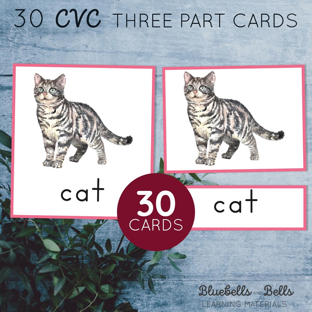 Montessori Printable CVC Phonics 3-part Cards. CVC Words Reading ...