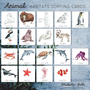 Animal Habitats Sorting Activity and Chart. Montessori Preschool and ...