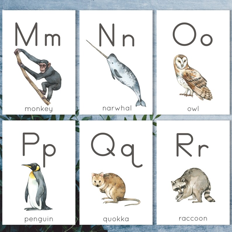 Animal Alphabet Cards. Watercolor Letter Flash Cards. - Etsy