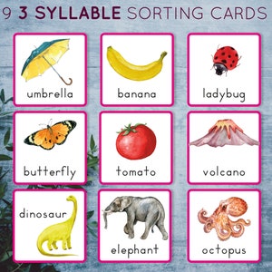 Syllable Sorting Printable Activity. Montessori Preschool and ...