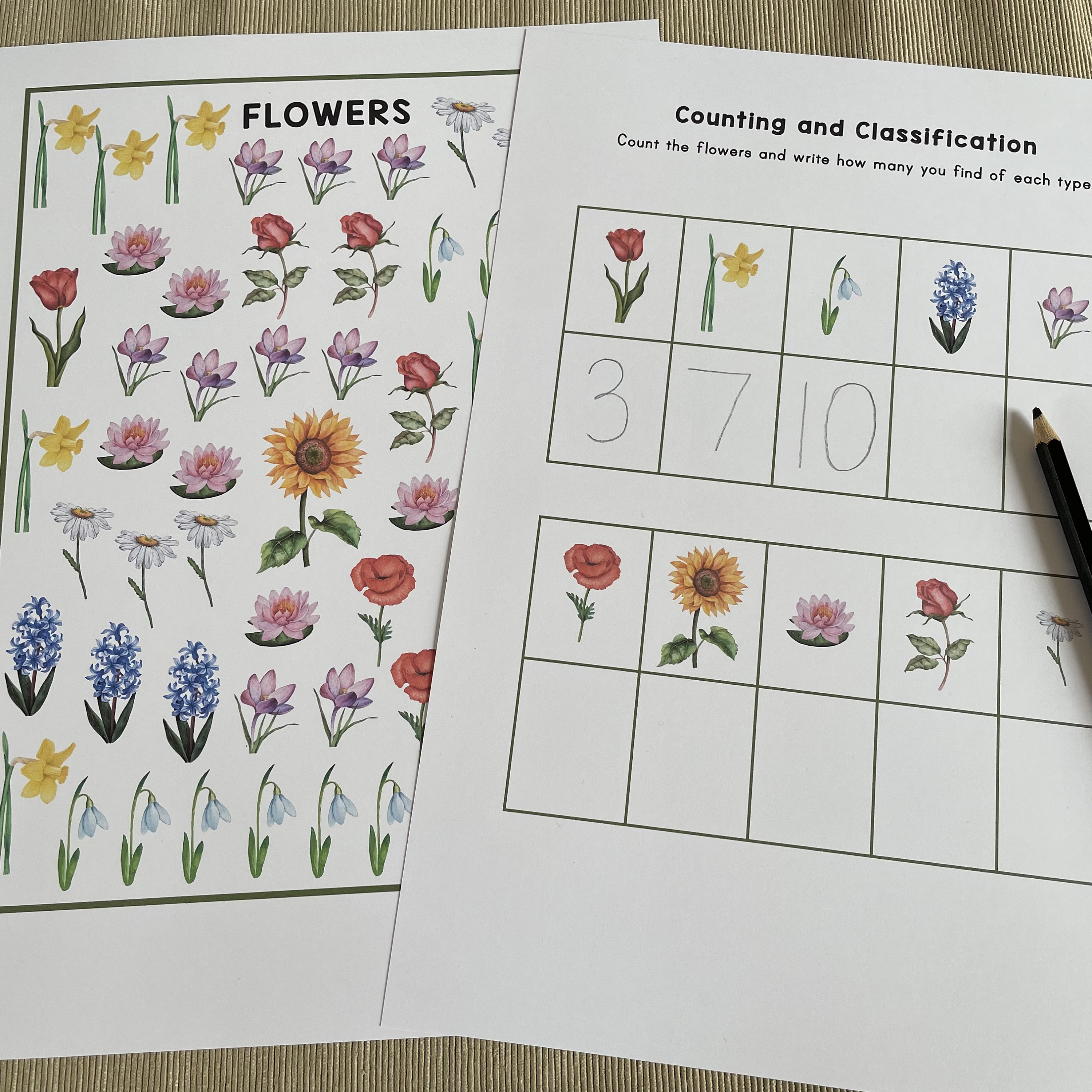 Graphing Printable Flowers. Preschool and Kindergarten Math - Etsy