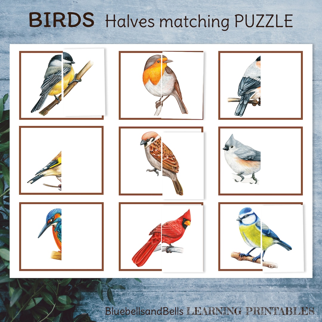 Toddler Puzzle Birds Halves Matching. Montessori Spring Printable Busy ...