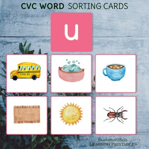 CVC Word Sort Vowel. CVC Word Printable Chart With Pictures. - Etsy