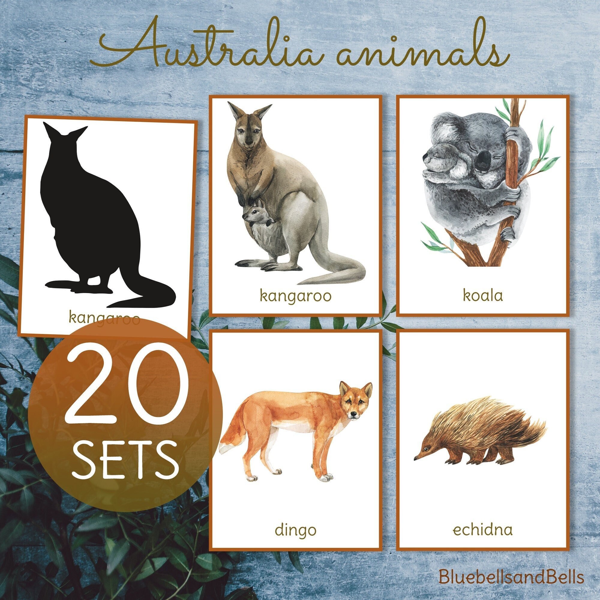 Australia Animal Flashcards and Shadow Matching Cards. | Etsy