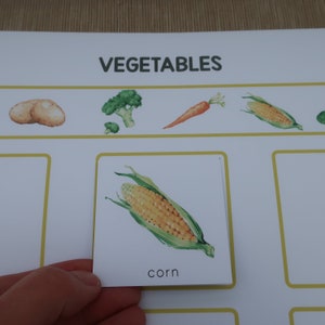 Fruit and Vegetable Sorting Activity for Toddlers. Preschool Category ...