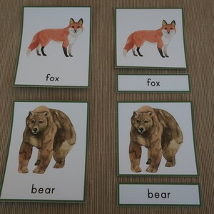 Woodland Animals Montessori 3 Part Cards. Preschool Vocabulary Activity ...