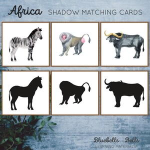 Africa Animal Shadow Matching Cards. Montessori Toddler Printable ...
