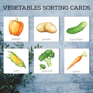 Fruit and Vegetable Sorting Activity for Toddlers. Preschool Category ...