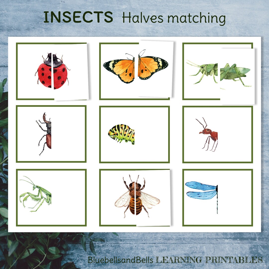Insect Toddler Puzzle Halves Matching. Montessori Printable Matching ...