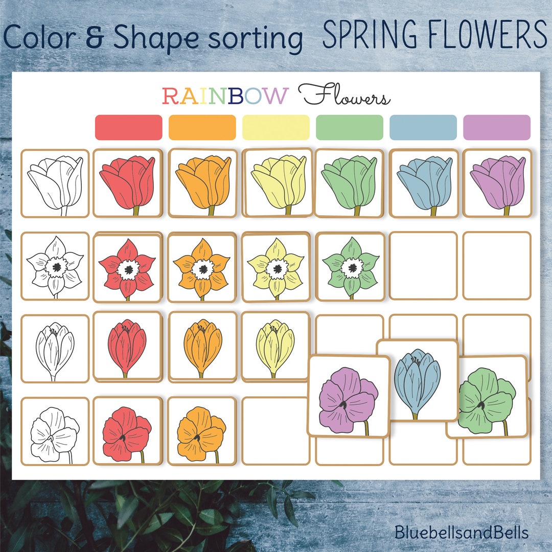 Spring Flower Color Sorting Printable. Montessori Matching Activity. - Etsy