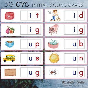 Montessori Printable Moveable Alphabet. CVC Word Phonics Matching Cards ...