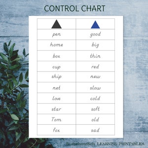 Montessori Parts of Speech Noun and Adjective Sorting Activity. Grammar ...