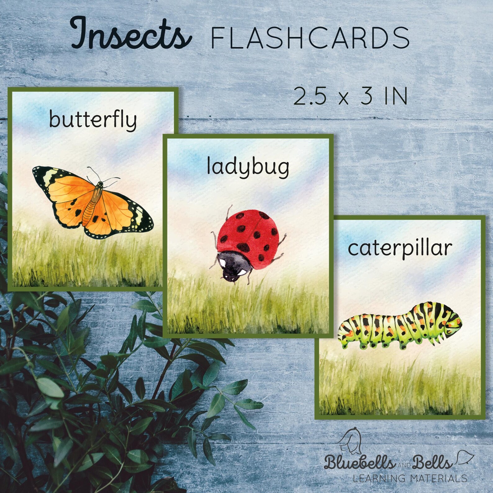 Insect Flashcards Mini. Watercolor Printable for Toddlers and Preschool ...