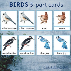 Birds Montessori Printable 3 Part Cards. Spring Vocabulary Activity for ...