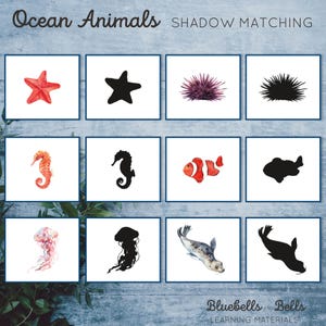 Ocean Animal Shadow Matching Cards. Montessori Summer Preschool ...