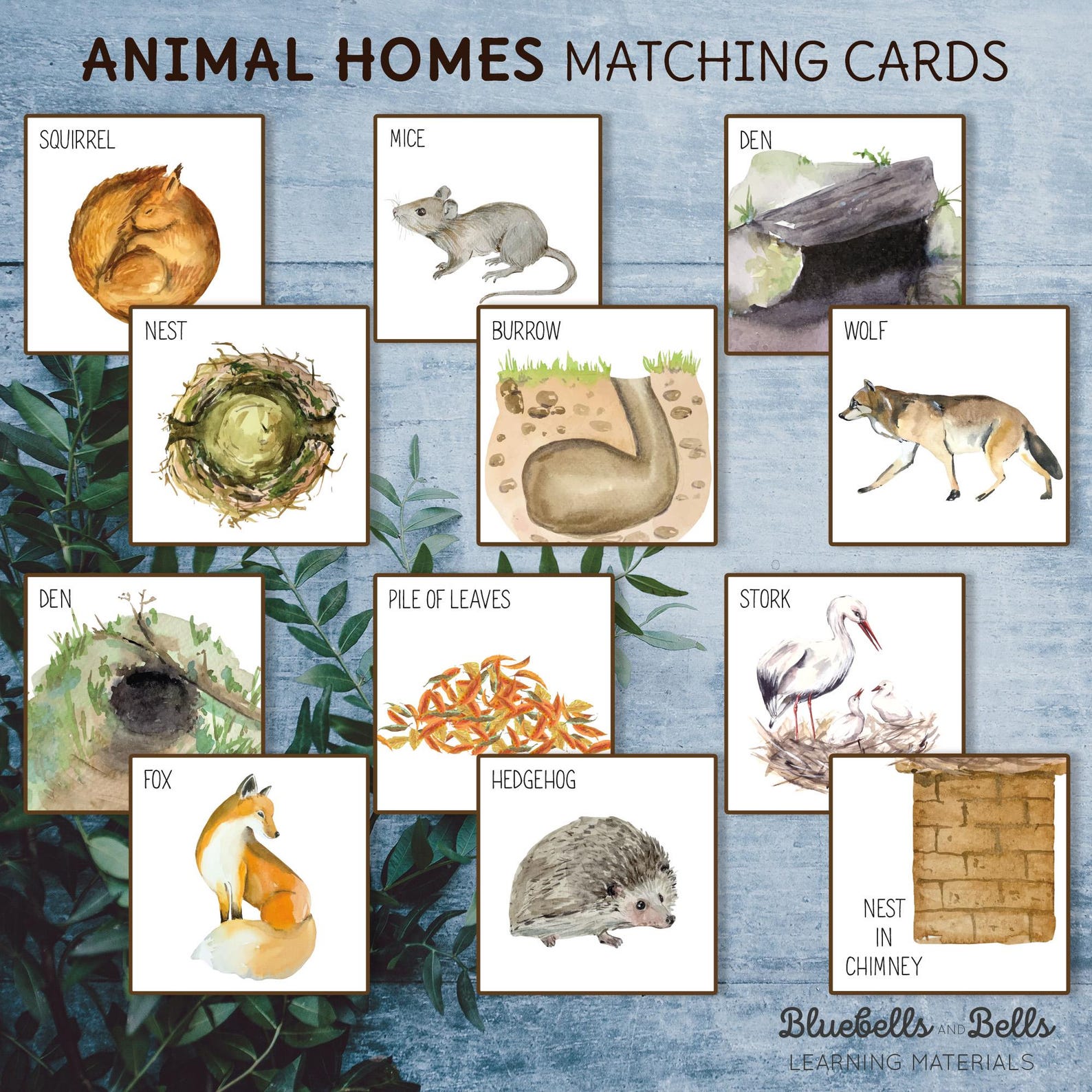 Animal Homes Cards and Matching Activity. - Etsy