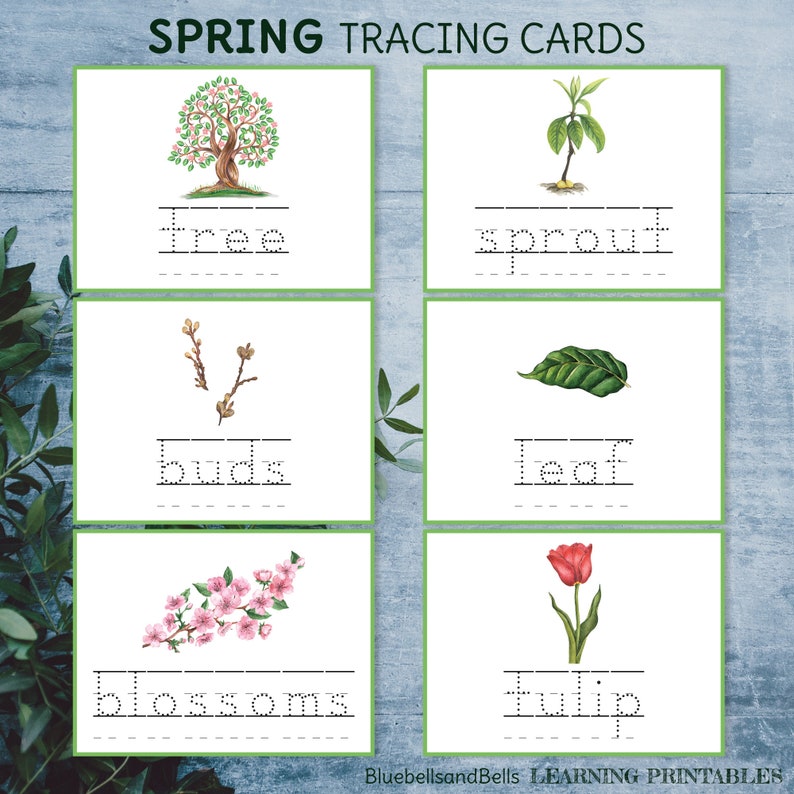 Spring Preschool Printable Word Tracing Cards. Kindergarten Handwriting ...
