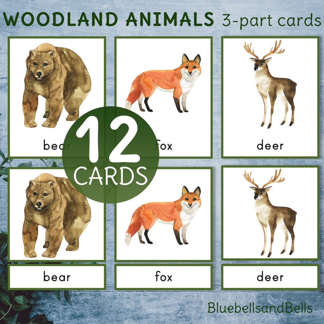 Woodland Animals Montessori 3 Part Cards. Preschool Vocabulary Activity ...