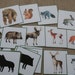 Woodland Animal Montessori Printable Shadow Matching Cards. - Etsy