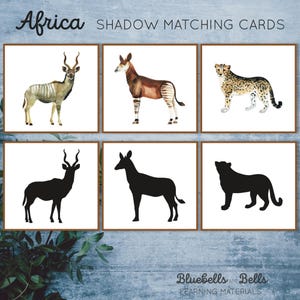 Africa Animal Shadow Matching Cards. Montessori Toddler Printable ...