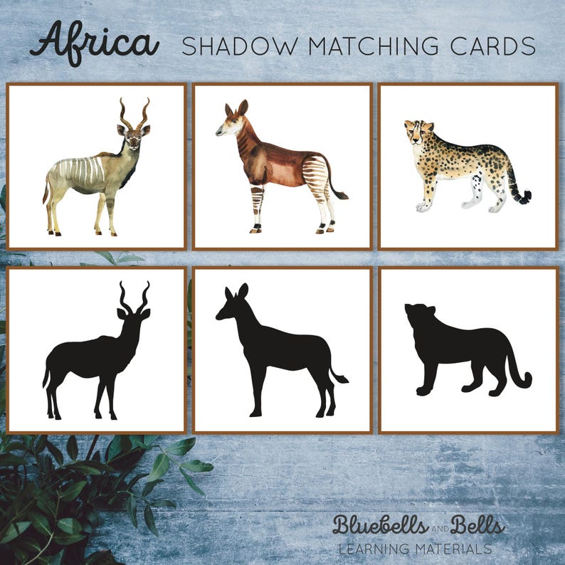 Africa Animal Shadow Matching Cards. Montessori Toddler Printable ...