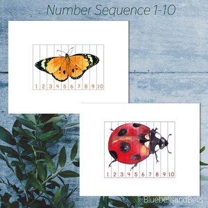 Insect Preschool Printable Number Sequence Puzzles 1-10. Montessori ...