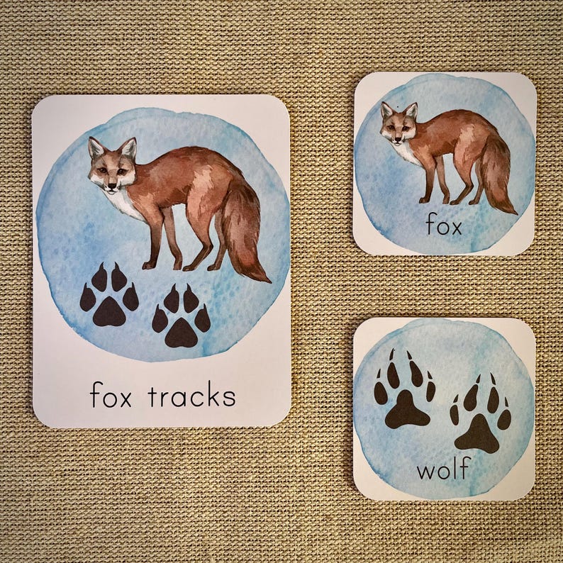 Winter Woodland Animal Tracks Flashcards. Montessori Winter Printable ...