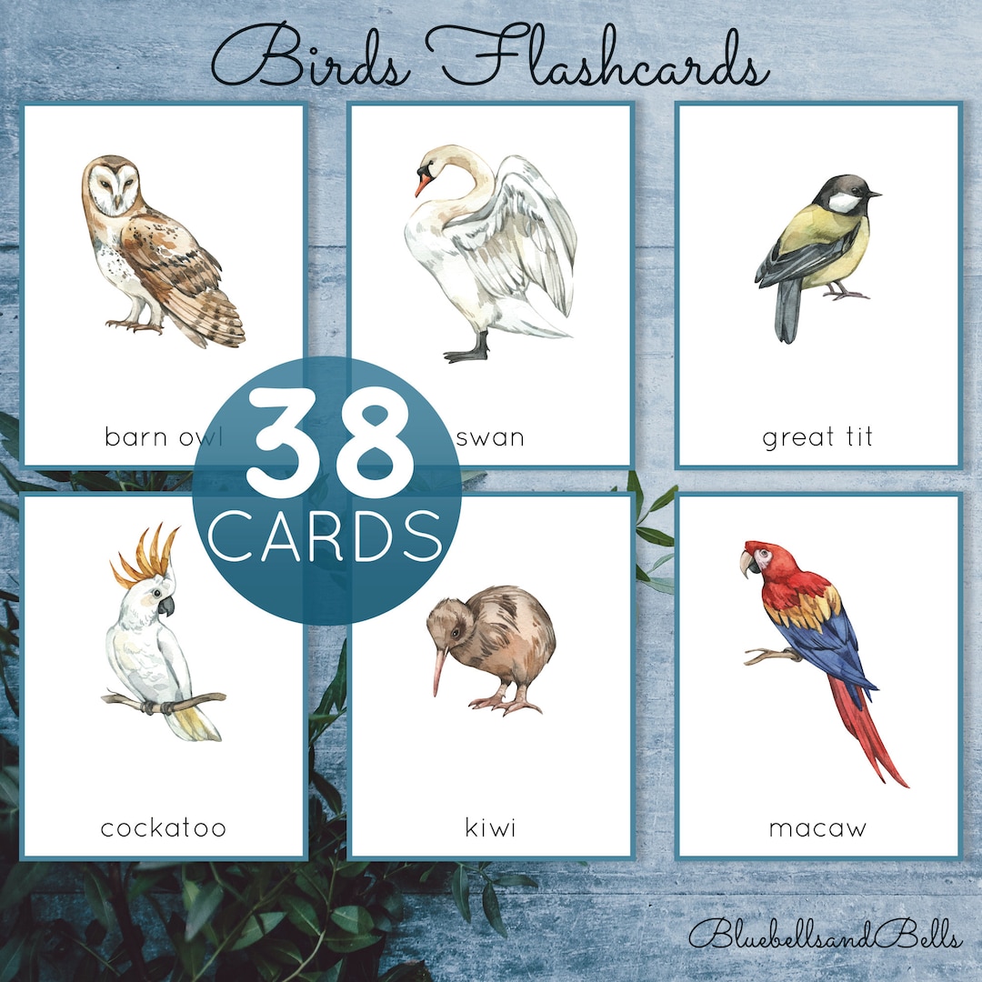 Birds Flash Cards. Watercolor Printable Birds of the World Cards. - Etsy