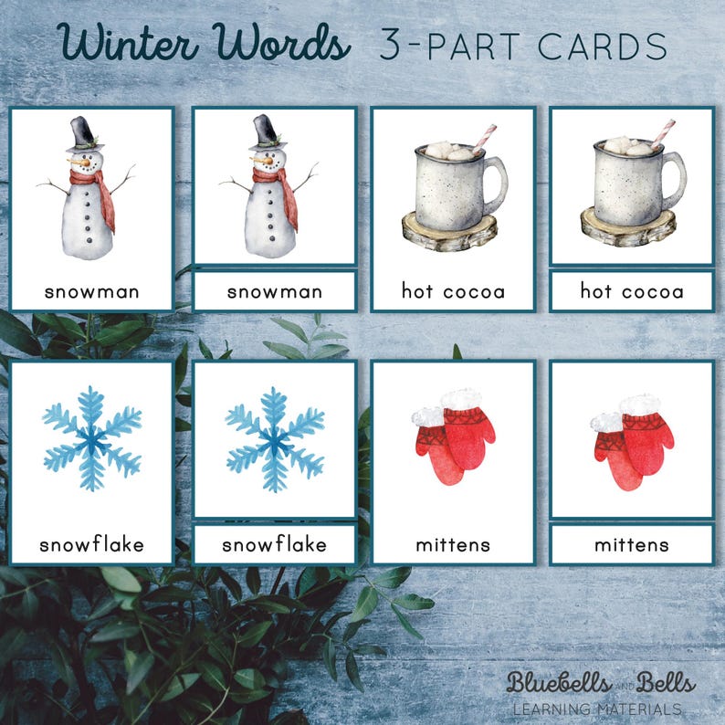 Winter Montessori Printable Vocabulary 3 Part Cards. Preschool and ...