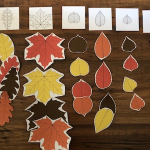 Color Sorting Fall Leaves Activity for Preschool. Shape Sorting ...