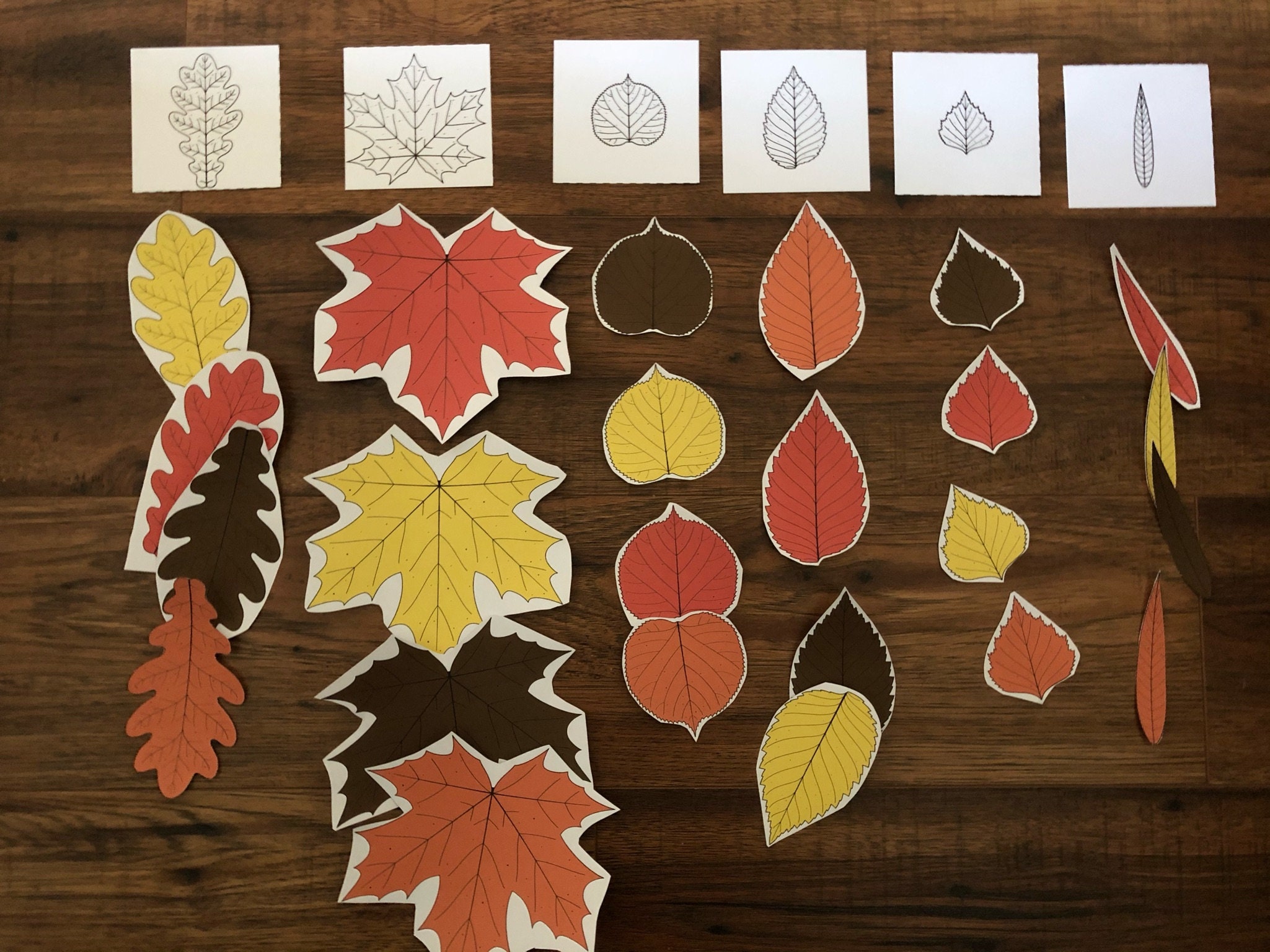 Color Sorting Fall Leaves Activity for Preschool. Shape Sorting ...