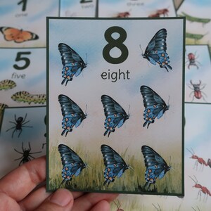 Insect Preschool Printable Number 1-10 Flashcards. Toddler Watercolor ...