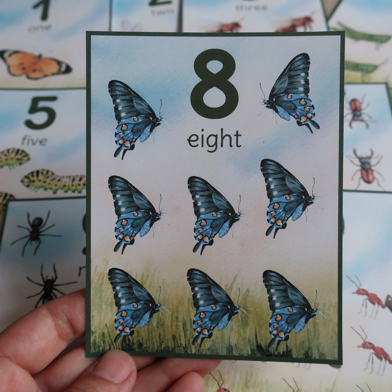 Insect Preschool Printable Number 1-10 Flashcards. Toddler | Etsy