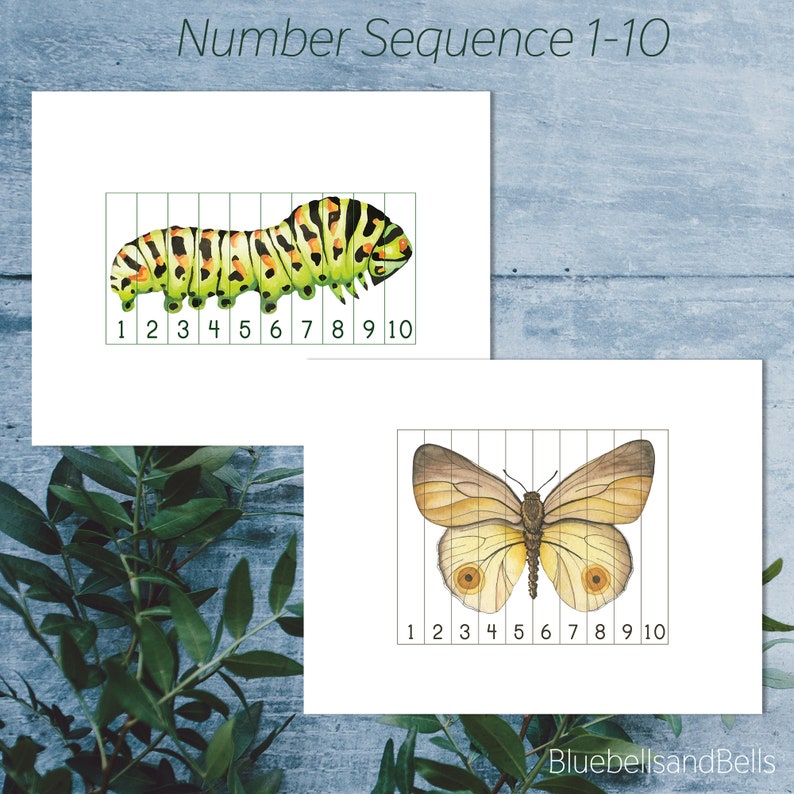 Insect preschool printable number sequence puzzles 1-10. | Etsy