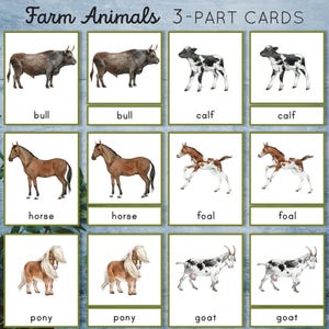Farm Animal Montessori Printable 3 Part Cards. Preschool and ...