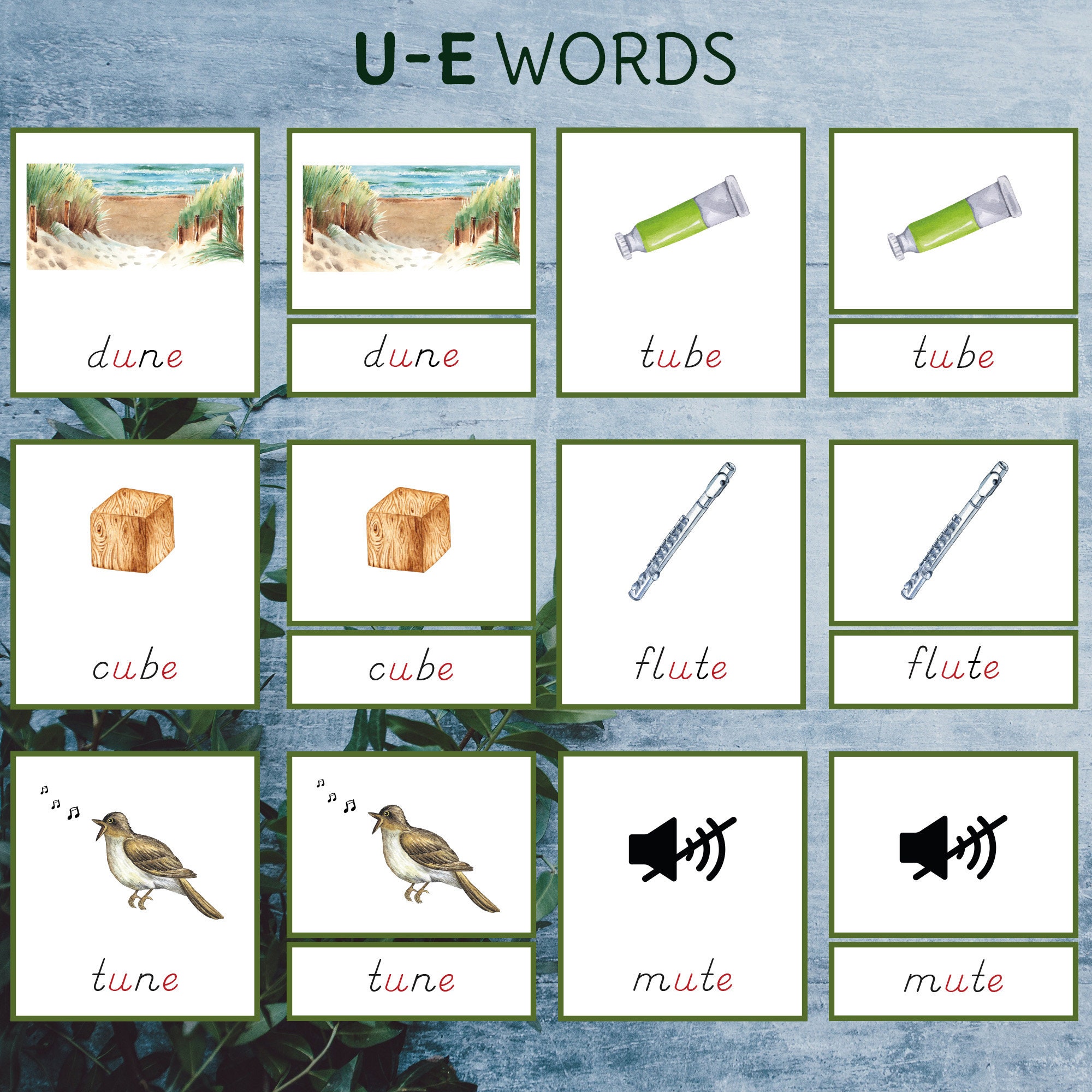 Montessori Green Series 3-part Cards. Silent E Printable Activity. - Etsy
