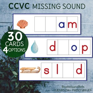 Montessori Printable Moveable Alphabet. CCVC Word Phonics Beginning ...