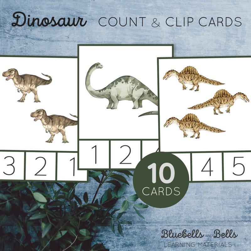 Count and Clip Cards - Etsy