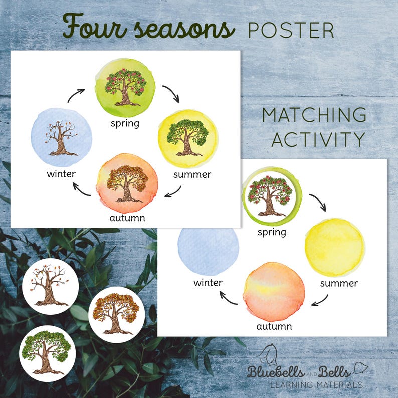 Four Seasons Wheel, Sorting Activity, Cards and Poster. - Etsy
